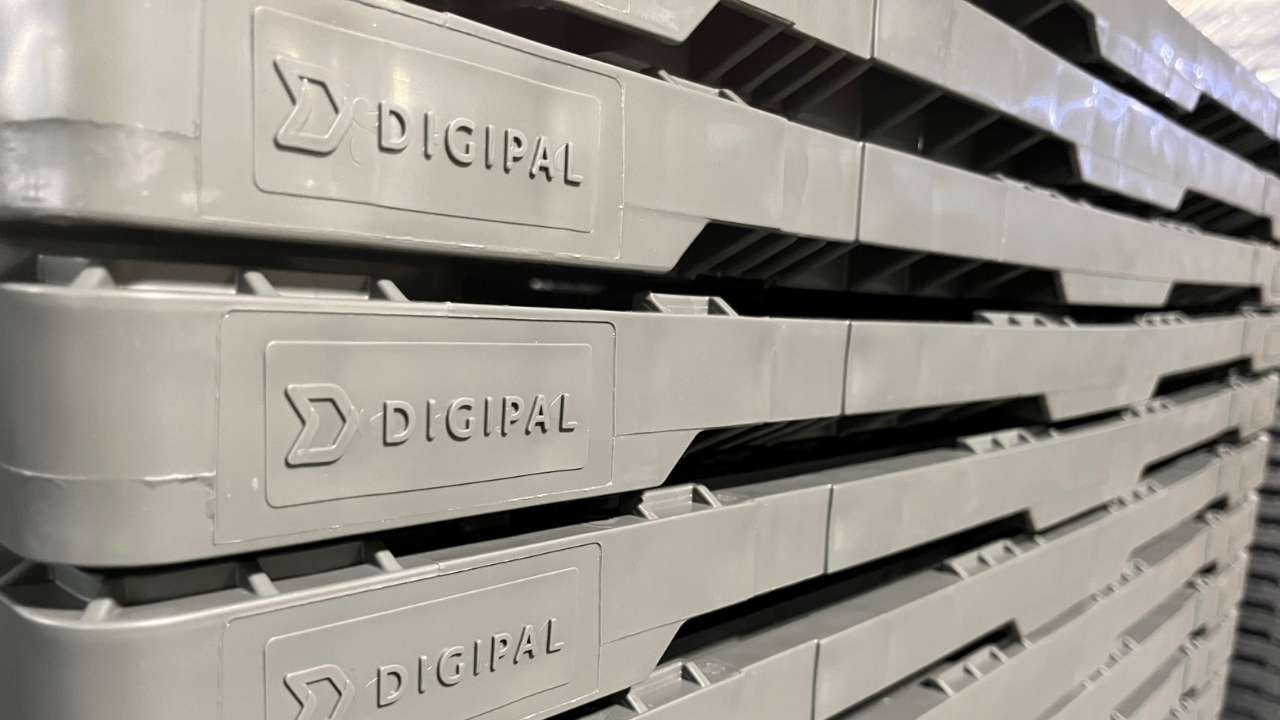 FAQs: Digipal Plastic Pallets - DIGIPAL