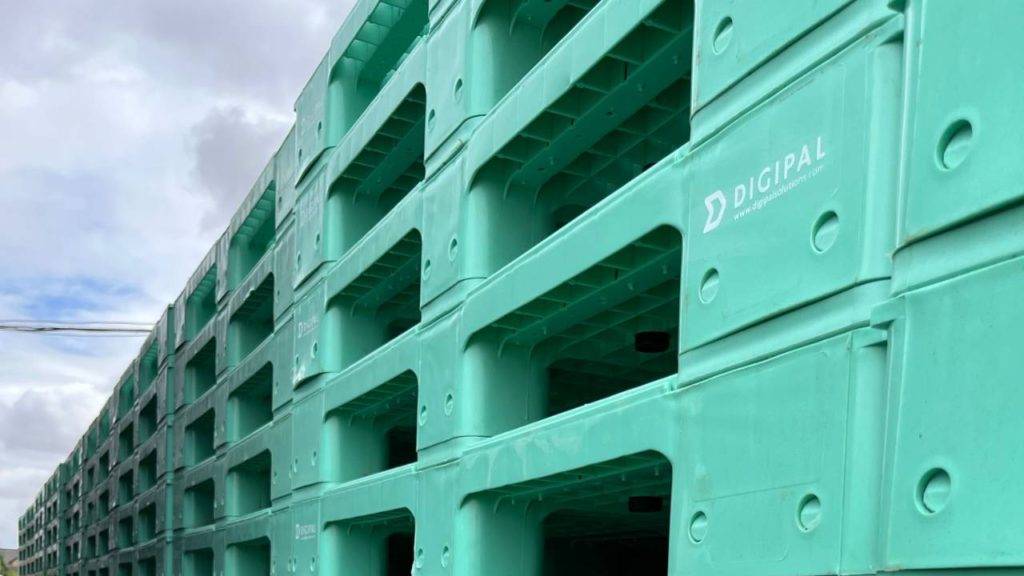 Are Plastic Pallets Bad for The Environment? - DIGIPAL